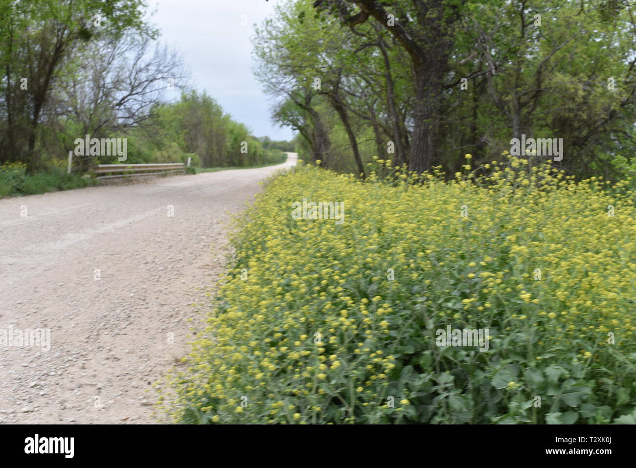Desolate texas road hi-res stock photography and images - Alamy