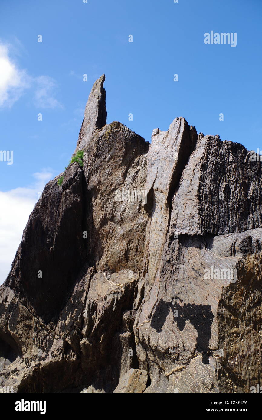 Slate Sea Stack at Woolman Point, Hope Cove, South Devon, UK Stock ...