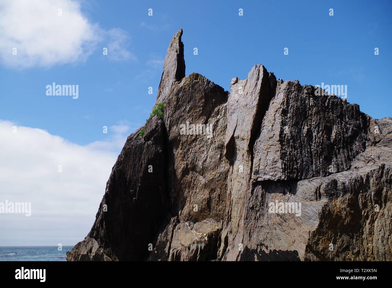 Slate Sea Stack at Woolman Point, Hope Cove, South Devon, UK Stock ...