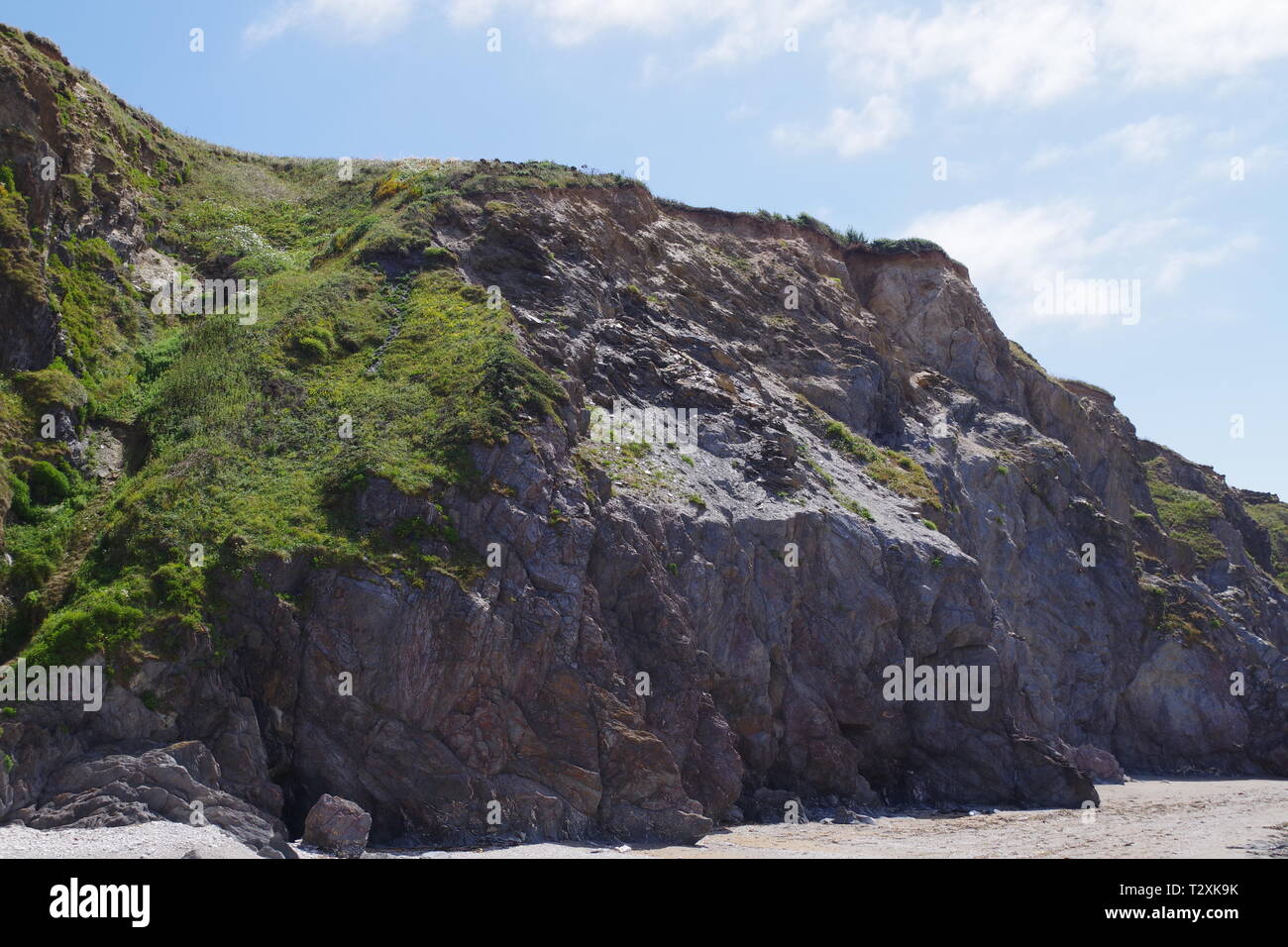 Rugged Slate Sea Cliff by Woolmans Point, Hope Cove, South Devon, UK ...