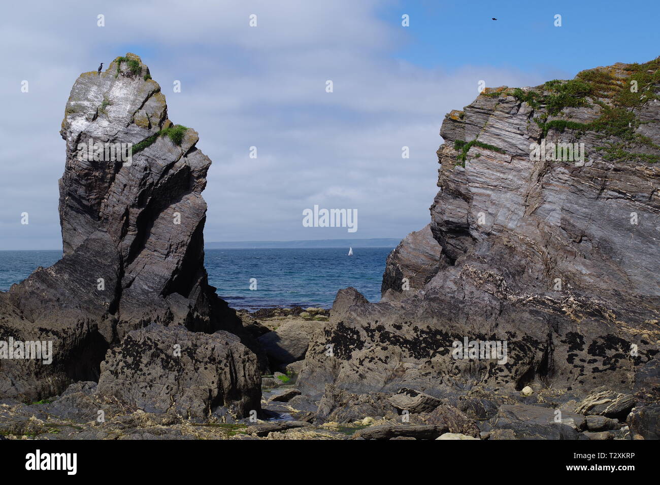 Slate Sea Stack at Woolman Point, Hope Cove, South Devon, UK Stock ...