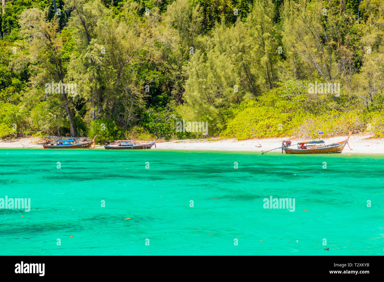 Tarutao marine park snorkeling hi-res stock photography and images - Alamy