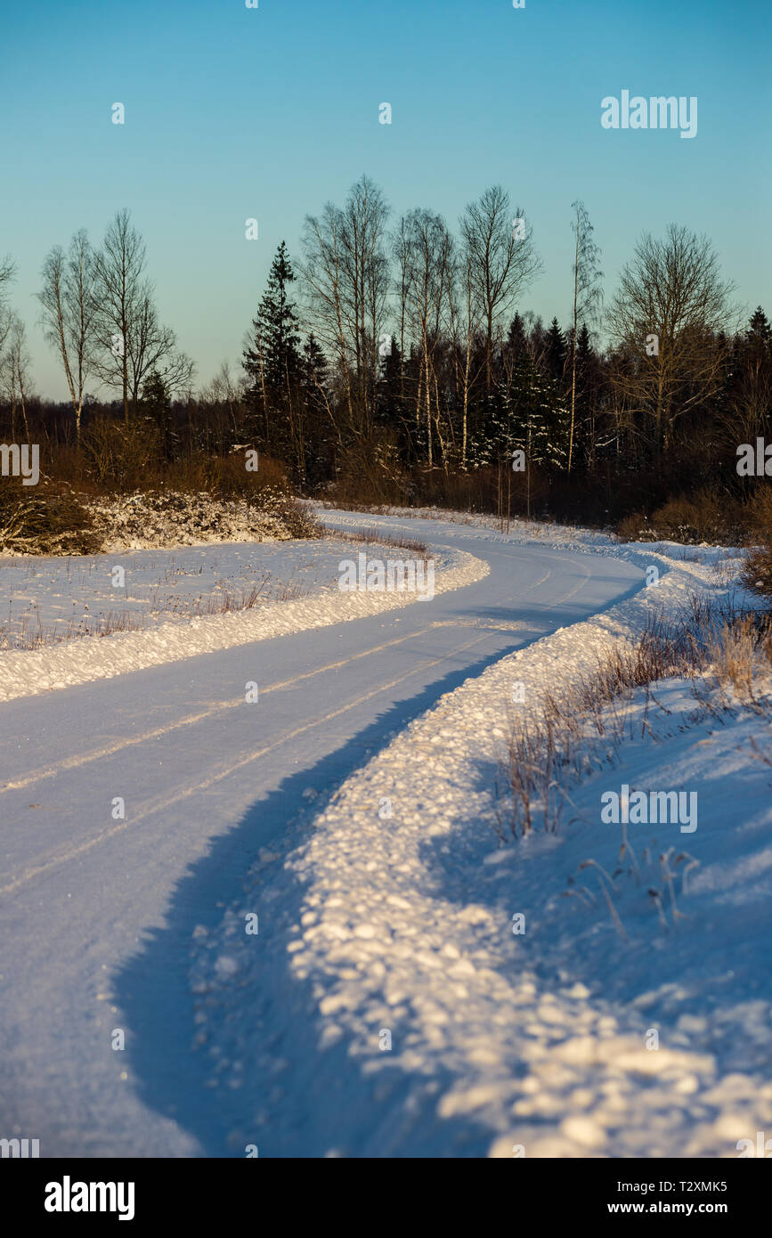 snowy winter road covered in ice and snow in forest woth blue sky Stock ...