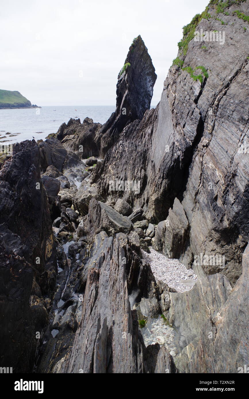 Slate Sea Stack at Woolman Point, Hope Cove, South Devon, UK Stock ...