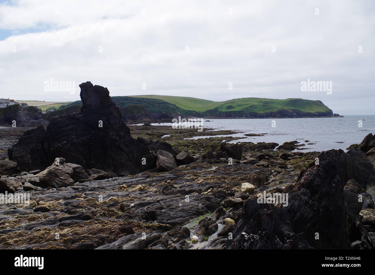 Slate Sea Stack at Woolman Point, Hope Cove, South Devon, UK Stock ...