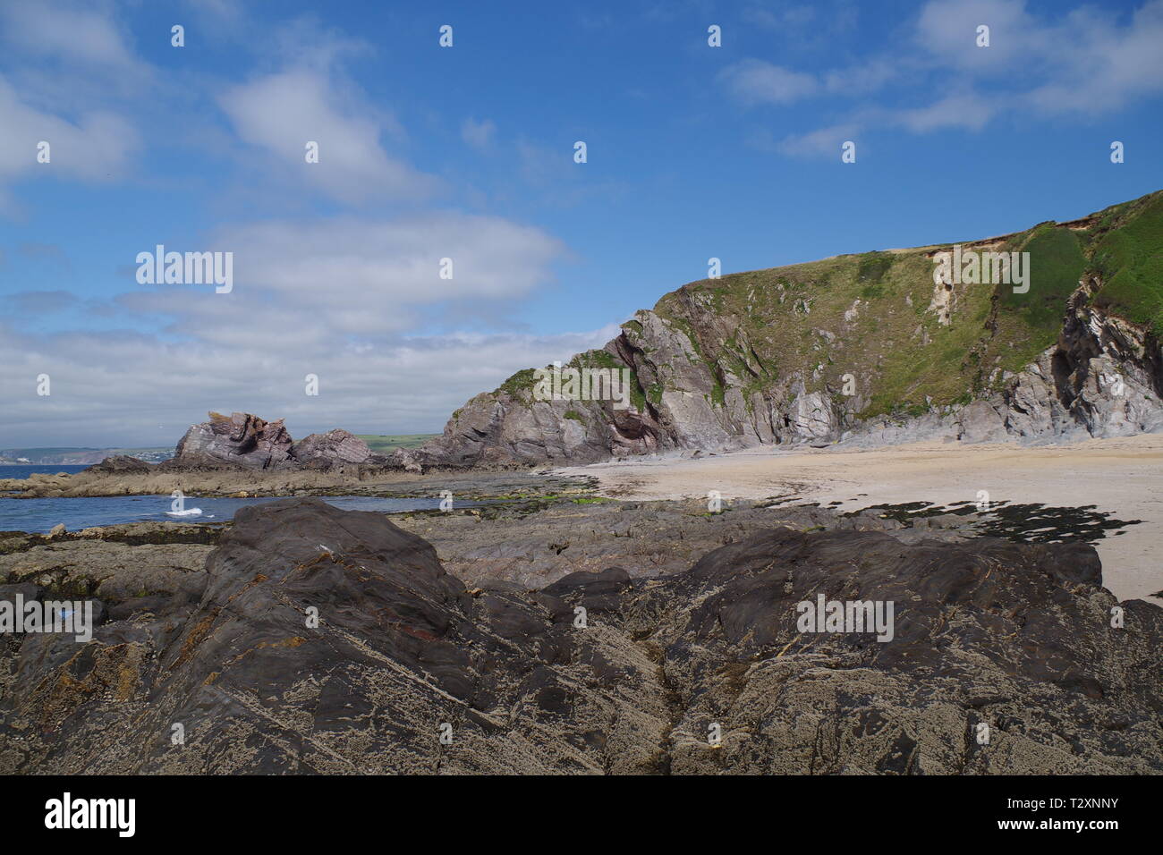 Rugged Rocky Seascape of Devonian Slate Geology, looking towards ...
