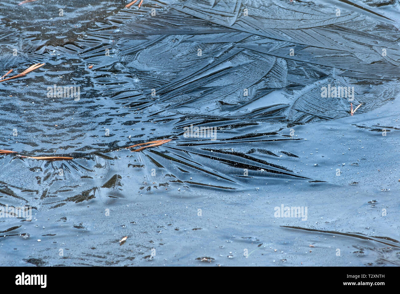 Lake Ice Out Of Needles