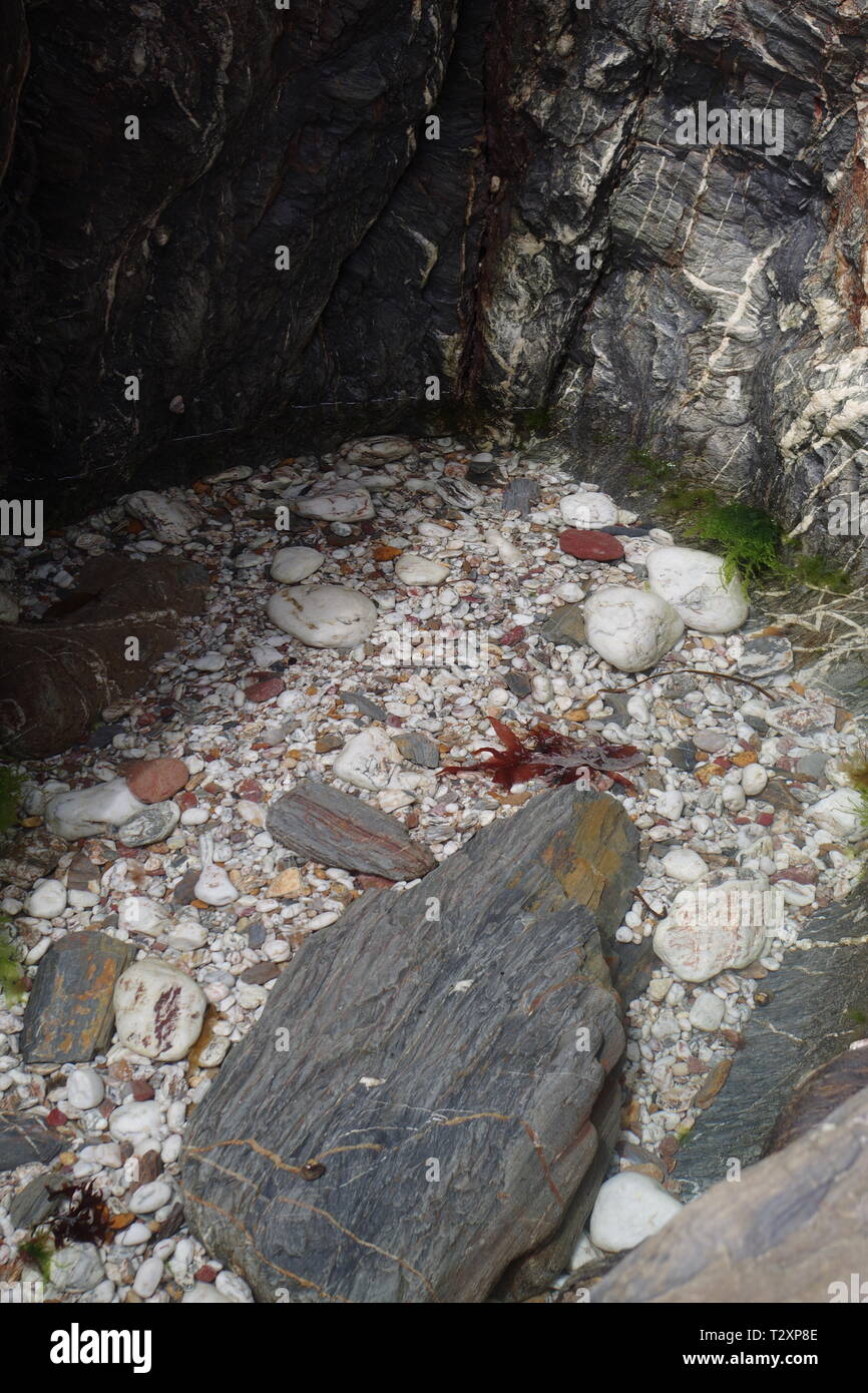 Small Round Rockpool with Quartz Pebble Bottom on the Shore along Hope ...