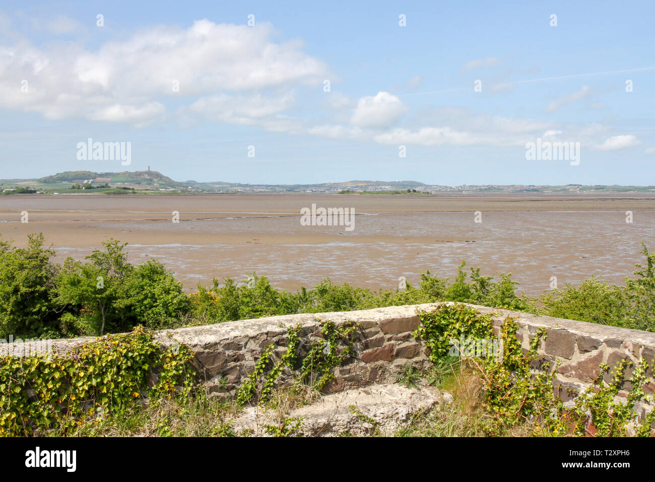 WWT Castle Espie reserve, Comber, County Down, Northern Ireland Stock ...