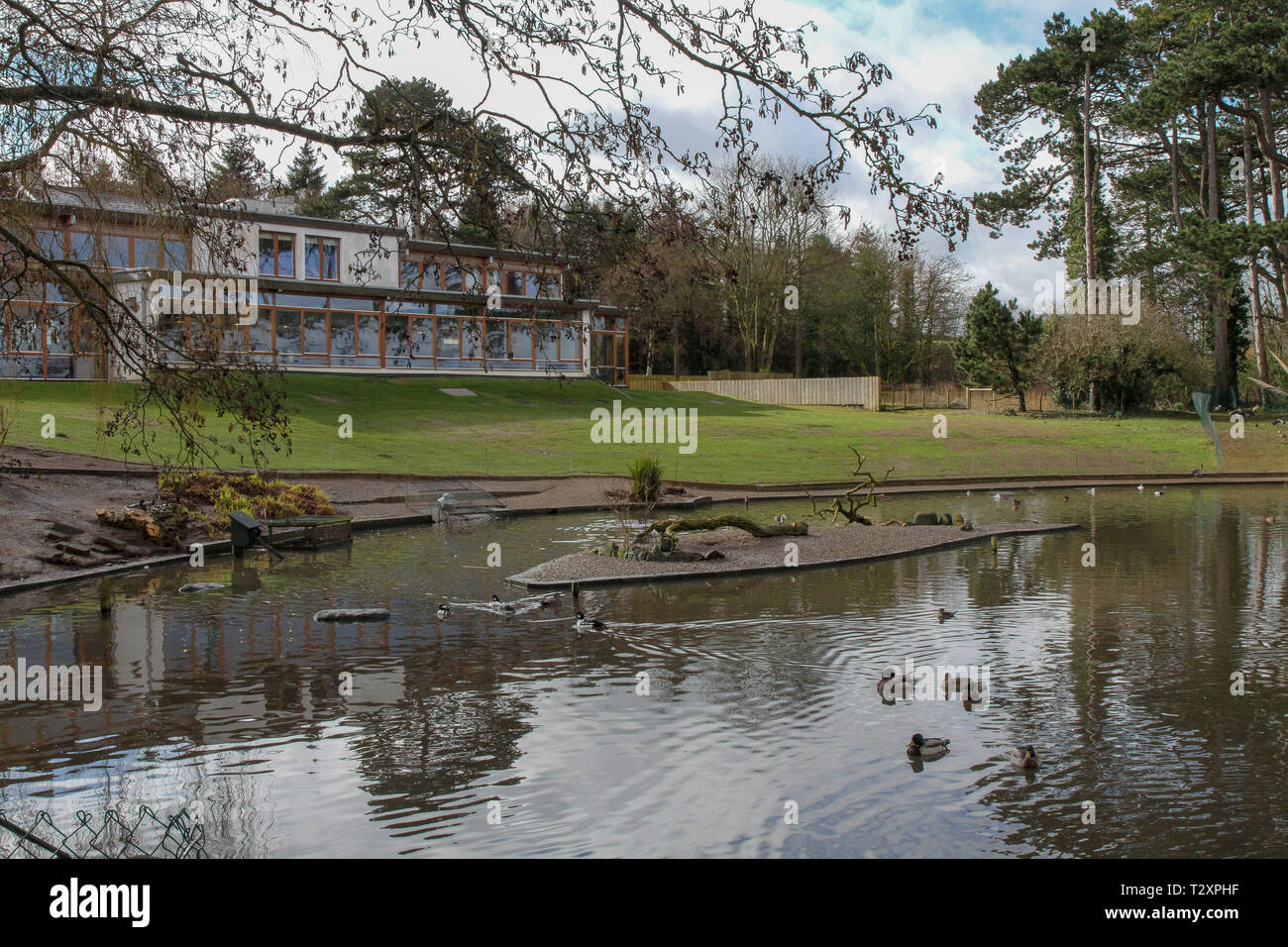Wwt castle espie hi-res stock photography and images - Alamy