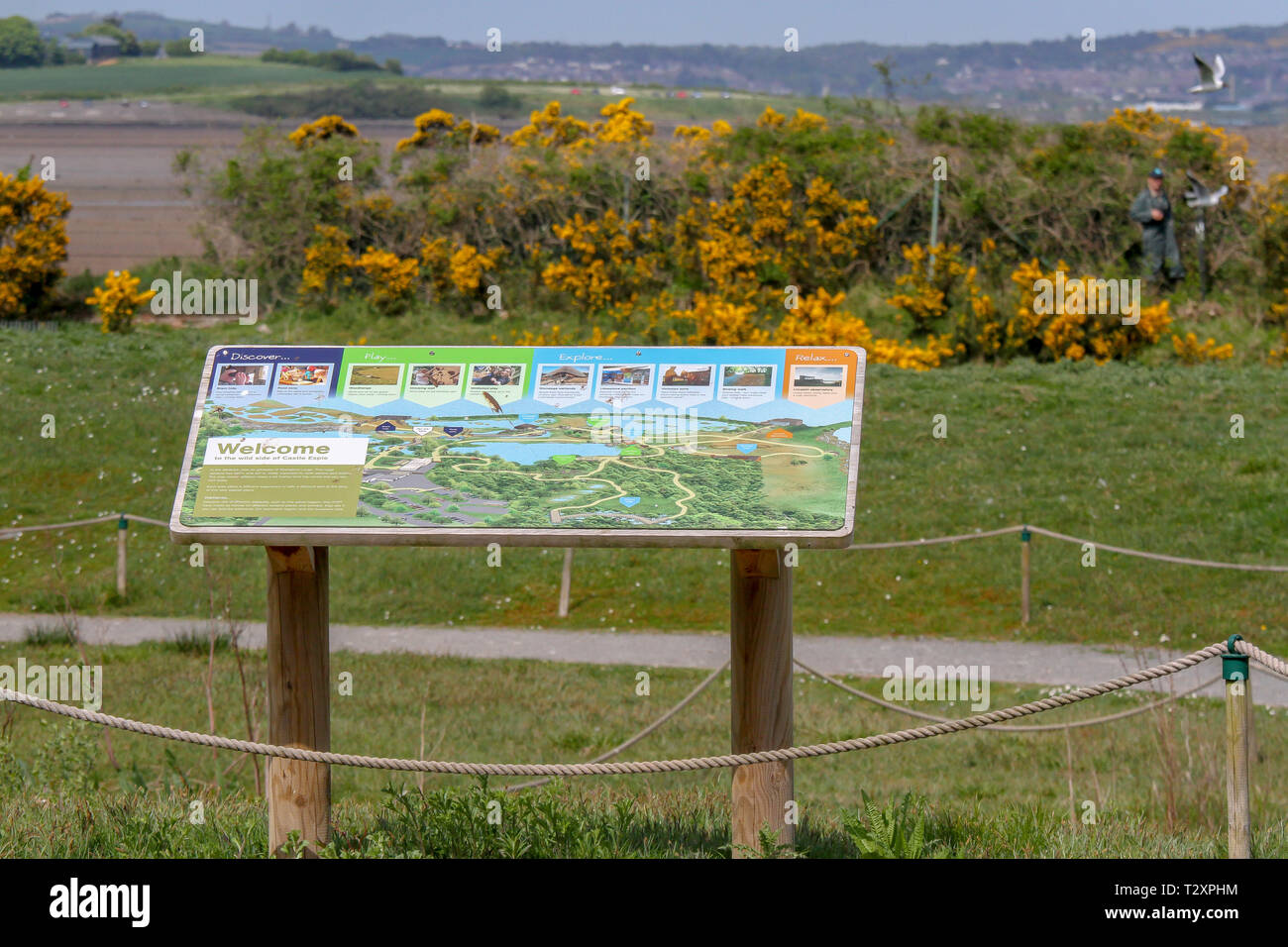 WWT Castle Espie reserve, Comber, County Down, Northern Ireland Stock ...
