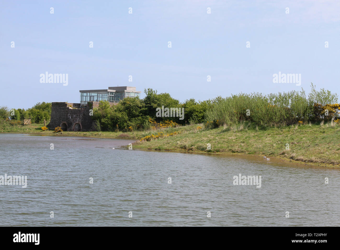 WWT Castle Espie reserve, Comber, County Down, Northern Ireland Stock ...