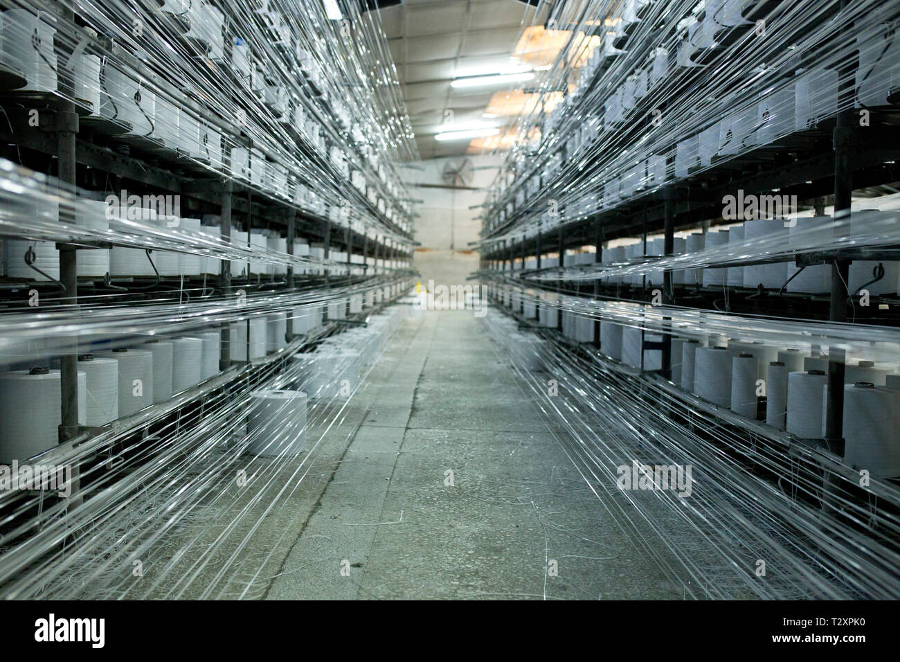 The spinning-mill of a large cotton factory, Istanbul, Turkey Stock ...