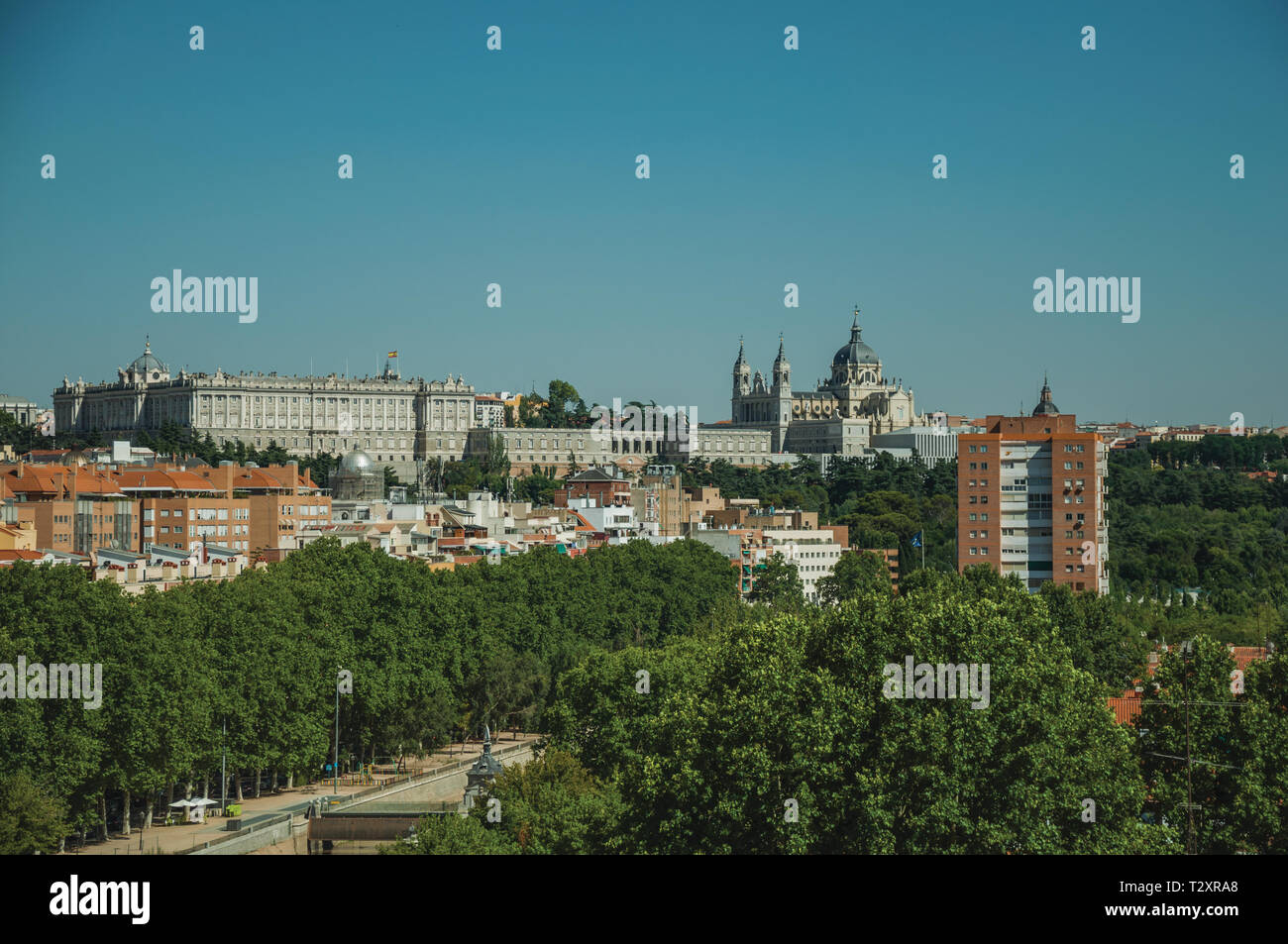 Landscape with the Royal Palace and Almudena Cathedral and trees from ...