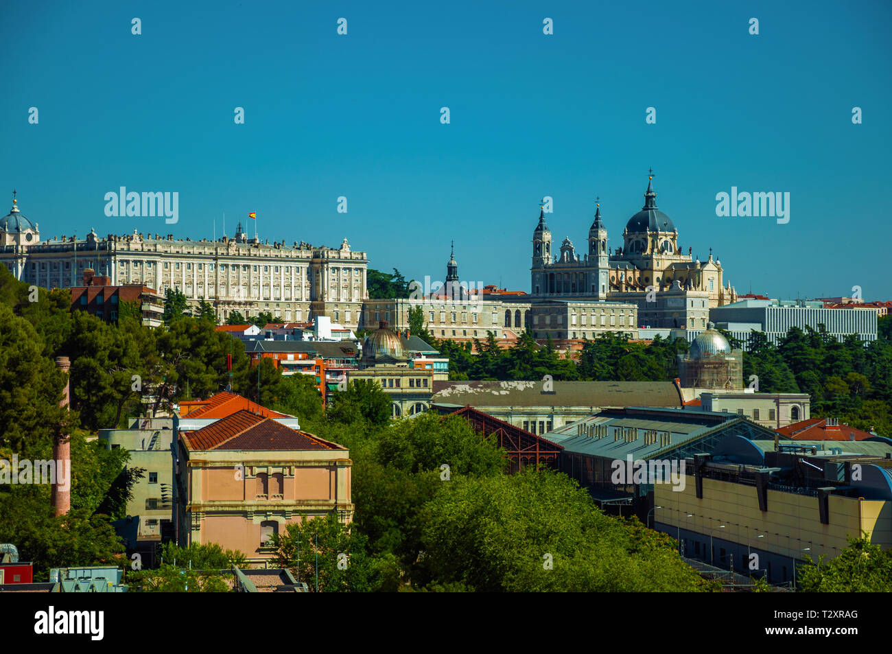 Landscape with the Royal Palace and Almudena Cathedral and trees from ...