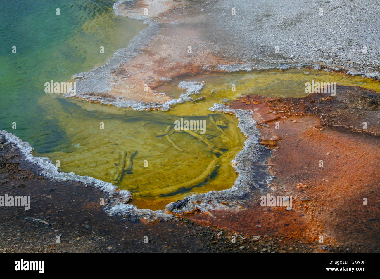 Yellowstone national park and geyser pools Stock Photo - Alamy