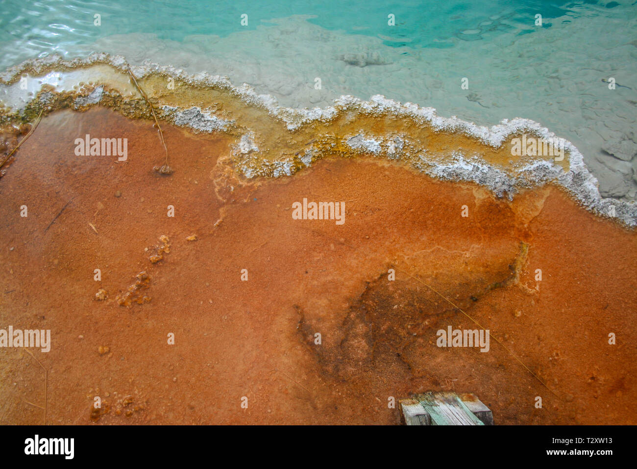 Yellowstone national park and geyser pools Stock Photo - Alamy