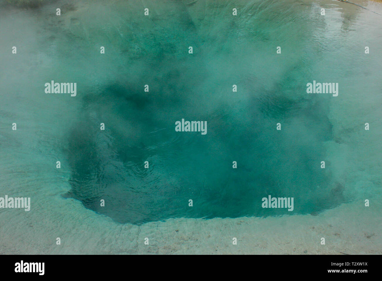 Yellowstone national park and geyser pools Stock Photo - Alamy