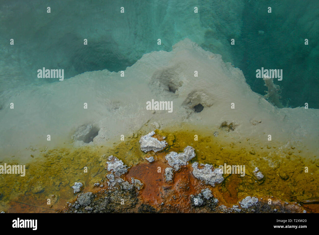 Yellowstone national park and geyser pools Stock Photo - Alamy