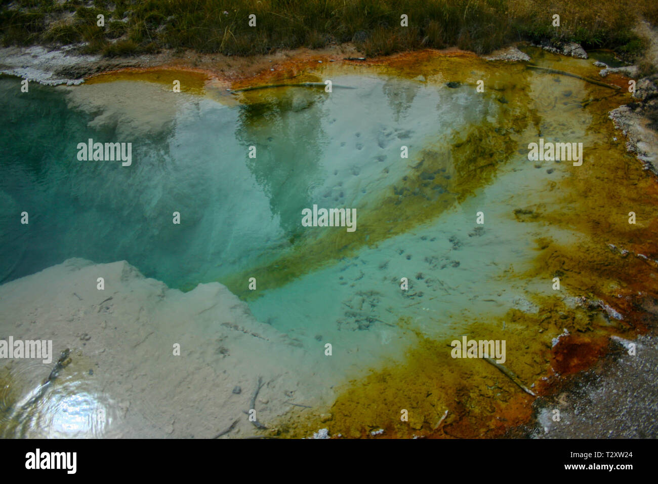 Yellowstone national park and geyser pools Stock Photo - Alamy