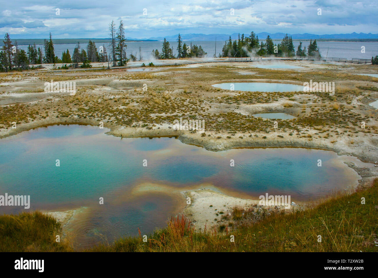 Yellowstone national park and geyser pools Stock Photo - Alamy