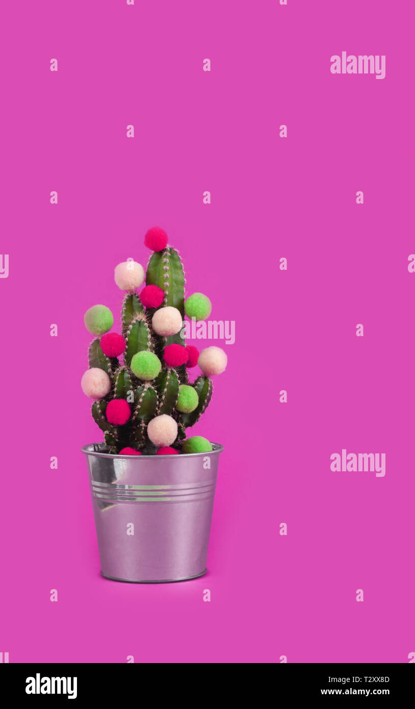 Funny holiday cactus tree with colored balls. Green tropical flower us ...