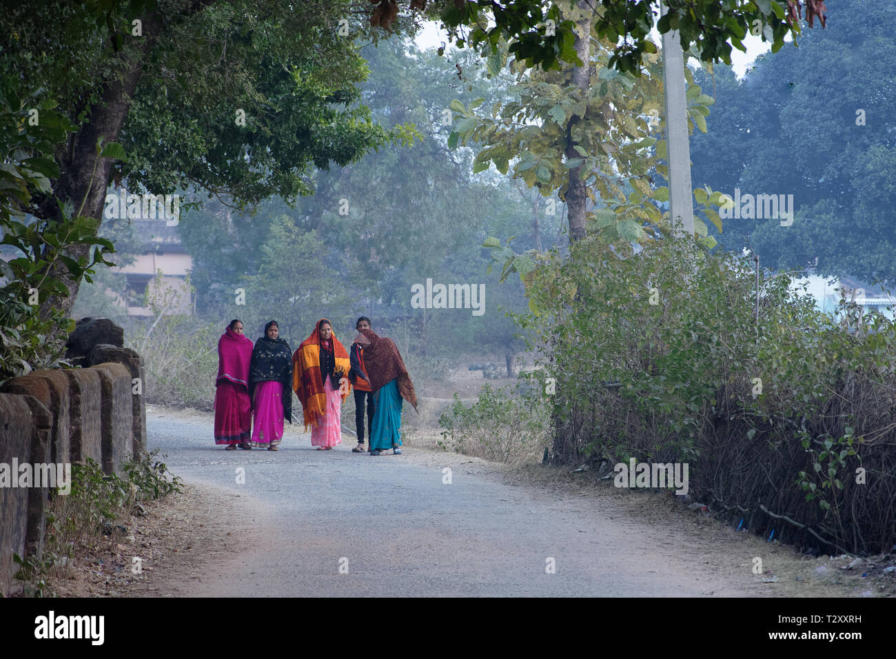 A group Indian woman are walking through rural road in winter morning ...