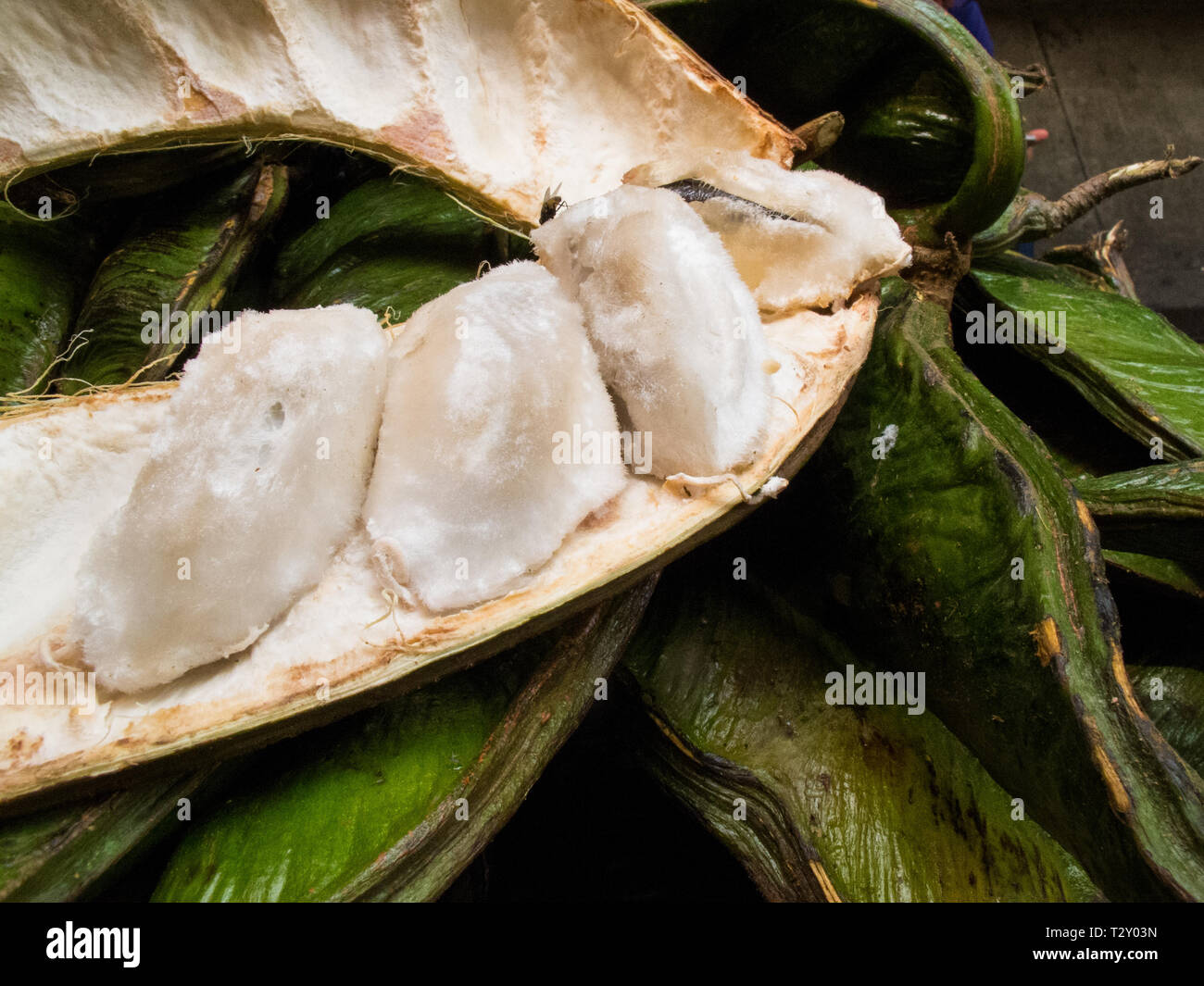 Inga Edulis High Resolution Stock Photography and Images - Alamy
