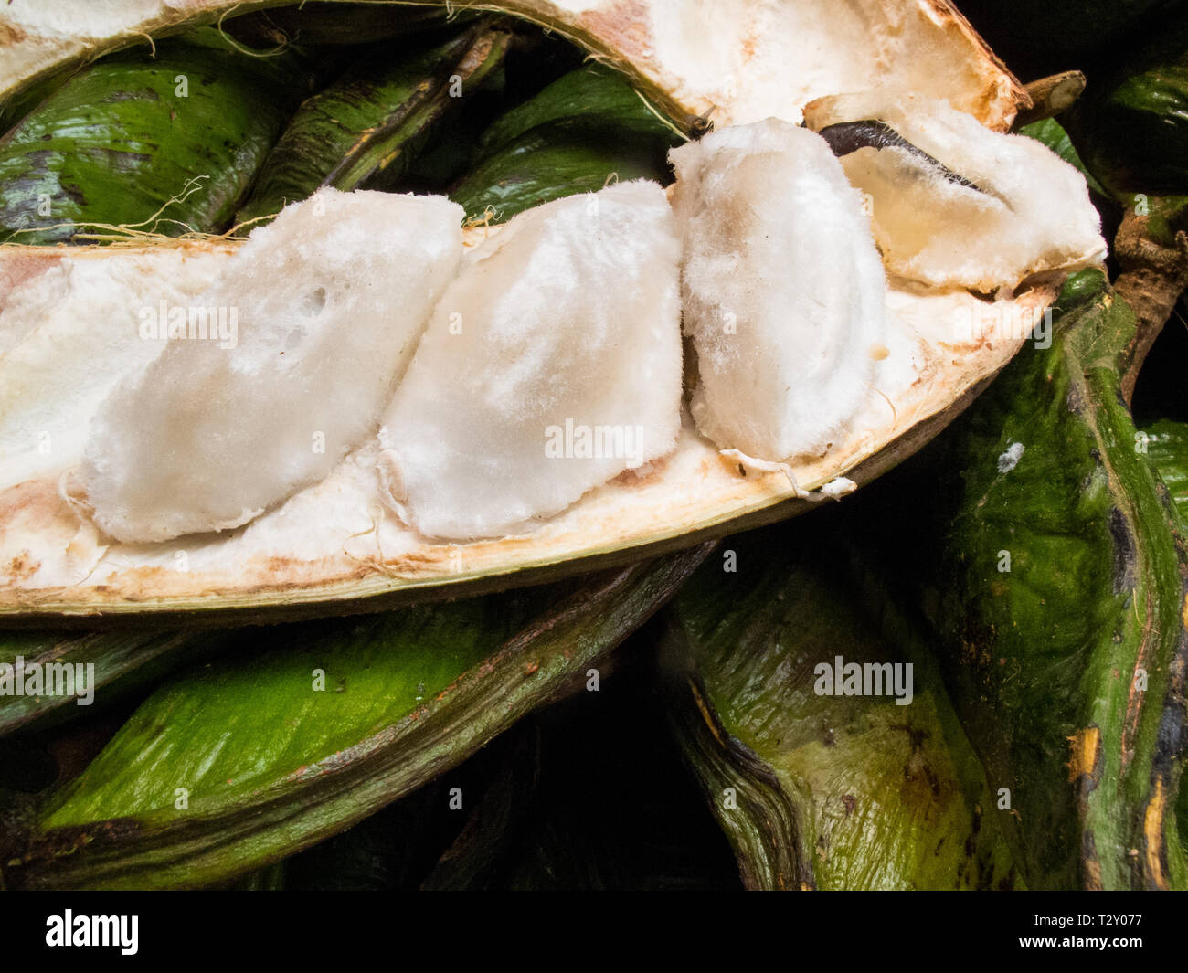 Exotic tropical fruit called guama (Inga Edulis Stock Photo - Alamy