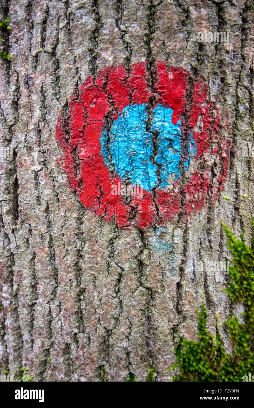 red and blue blaze on trail Stock Photo - Alamy
