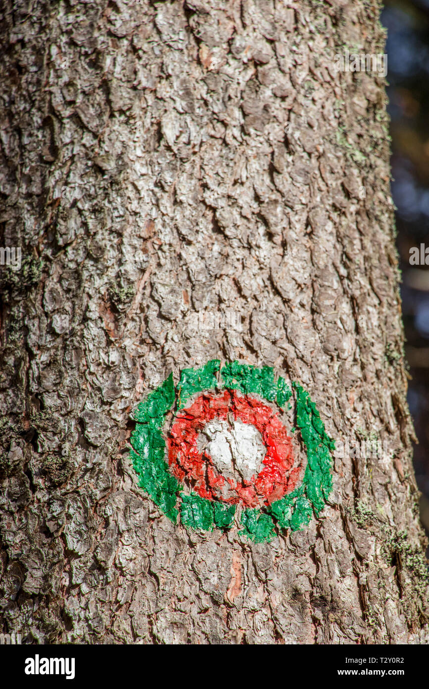 Blaze trail tree bark hi-res stock photography and images - Alamy