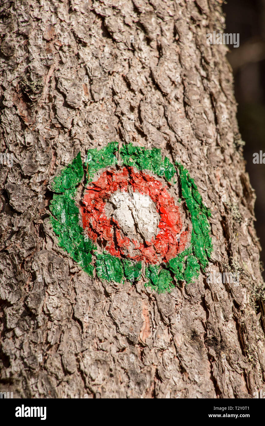 Blaze trail tree bark hi-res stock photography and images - Alamy
