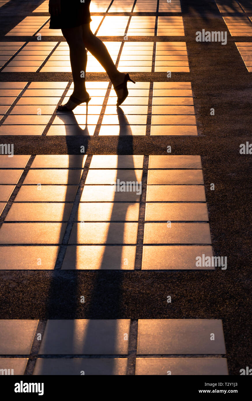Silhouette of legs and high heels Stock Photo - Alamy