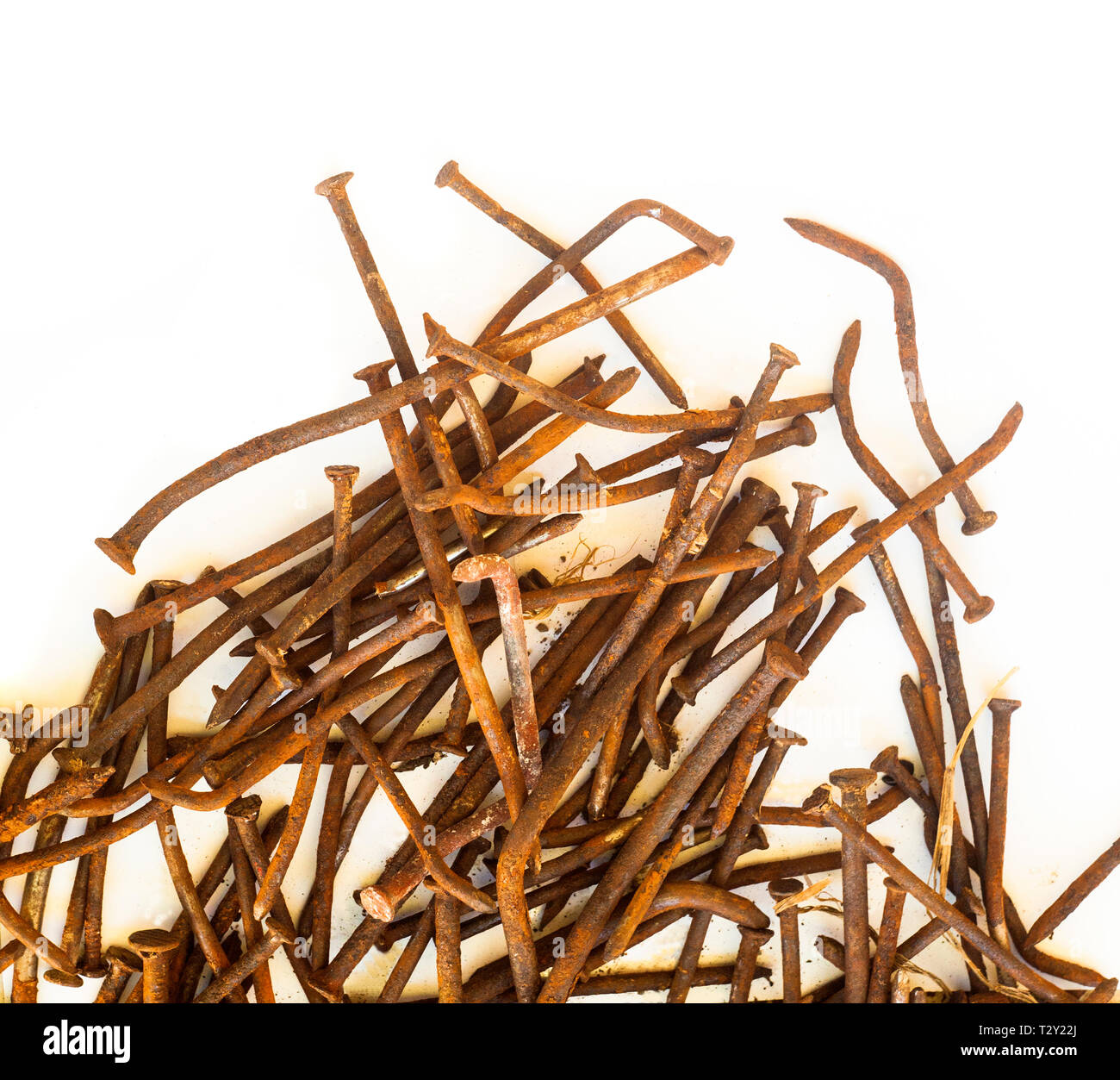 old nails with rust isolated on white background Stock Photo - Alamy