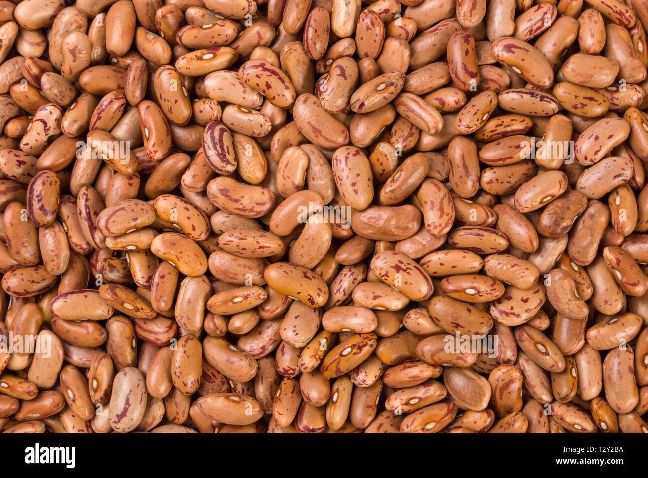 Pinto bean texture background. nutrition. bio. natural food ingredient ...