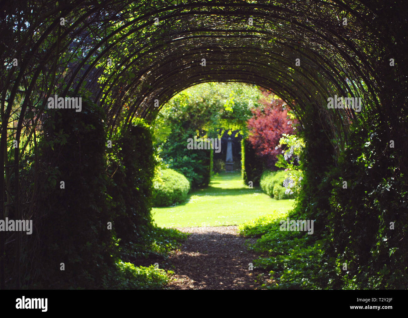 Rose arbour hi-res stock photography and images - Alamy