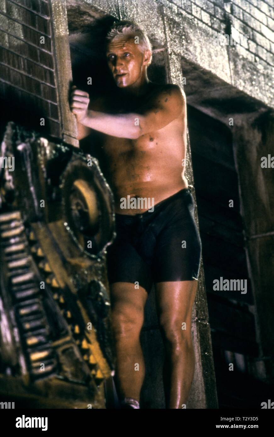 RUTGER HAUER, BLADE RUNNER, 1982 Stock Photo - Alamy RUTGER HAUER, BLADE RUNNER, 1982 Stock Photo - Alamy