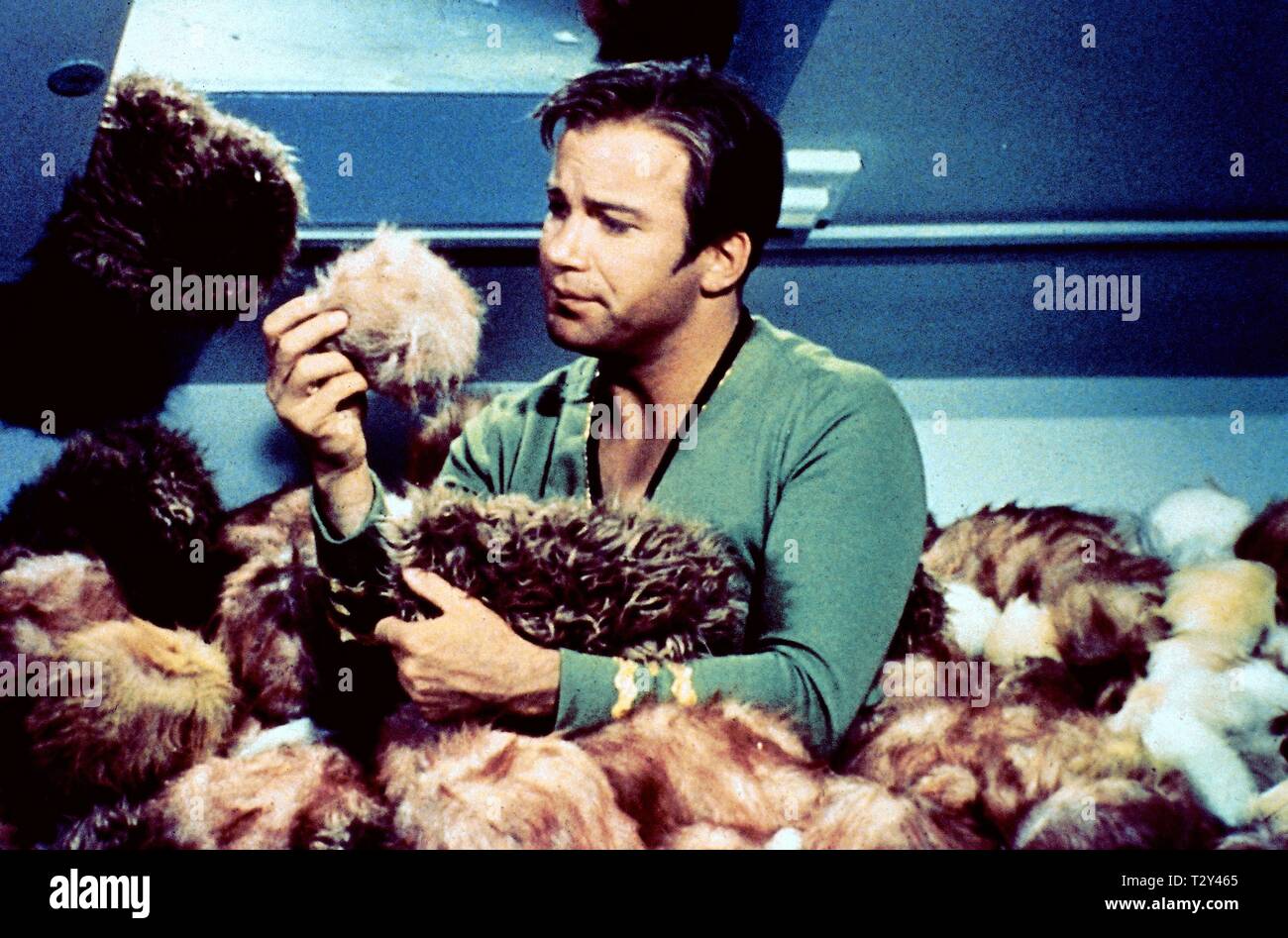 William shatner star trek tribbles hi-res stock photography and images ...