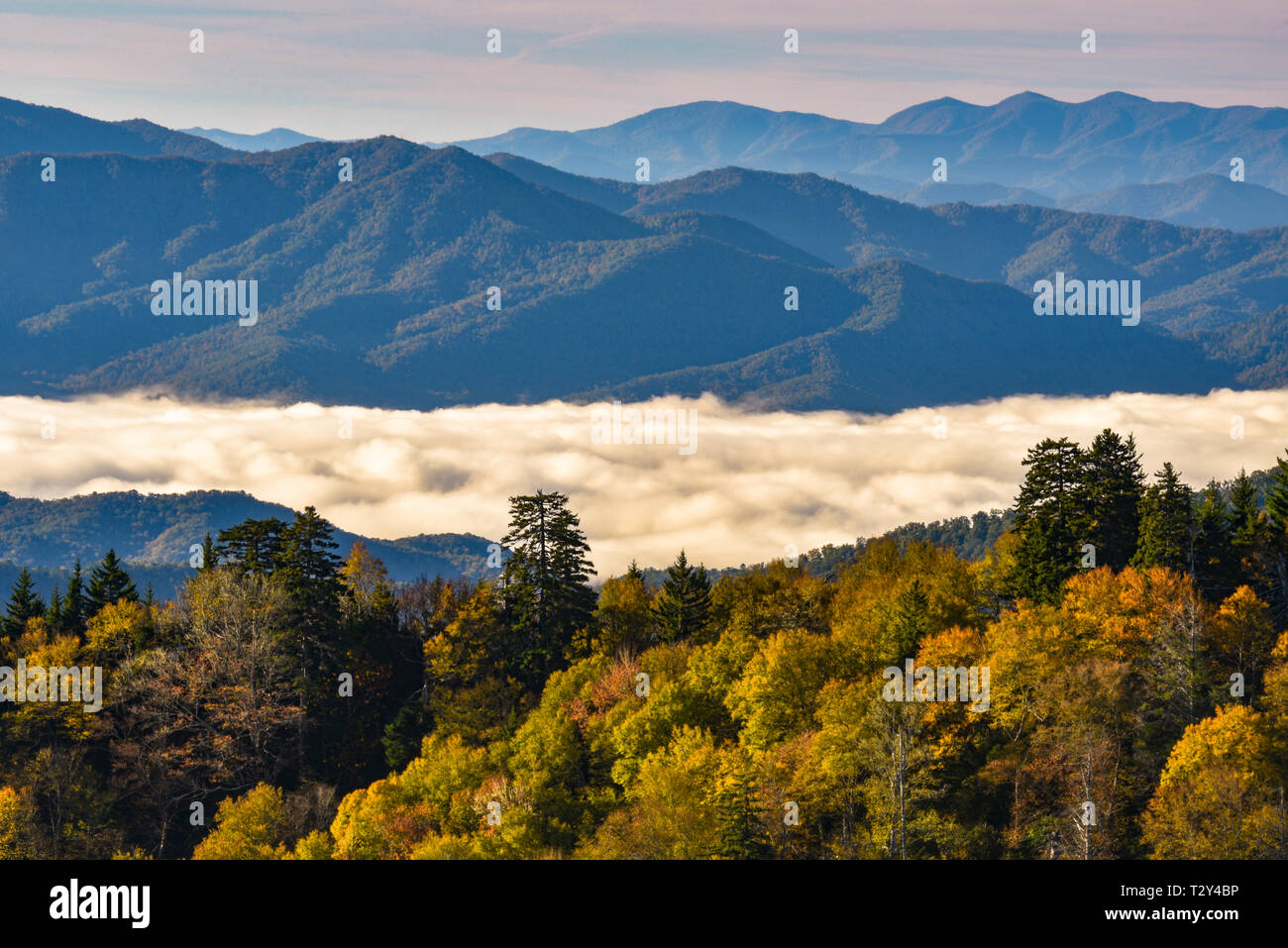 Newfound Gap Tn Weather