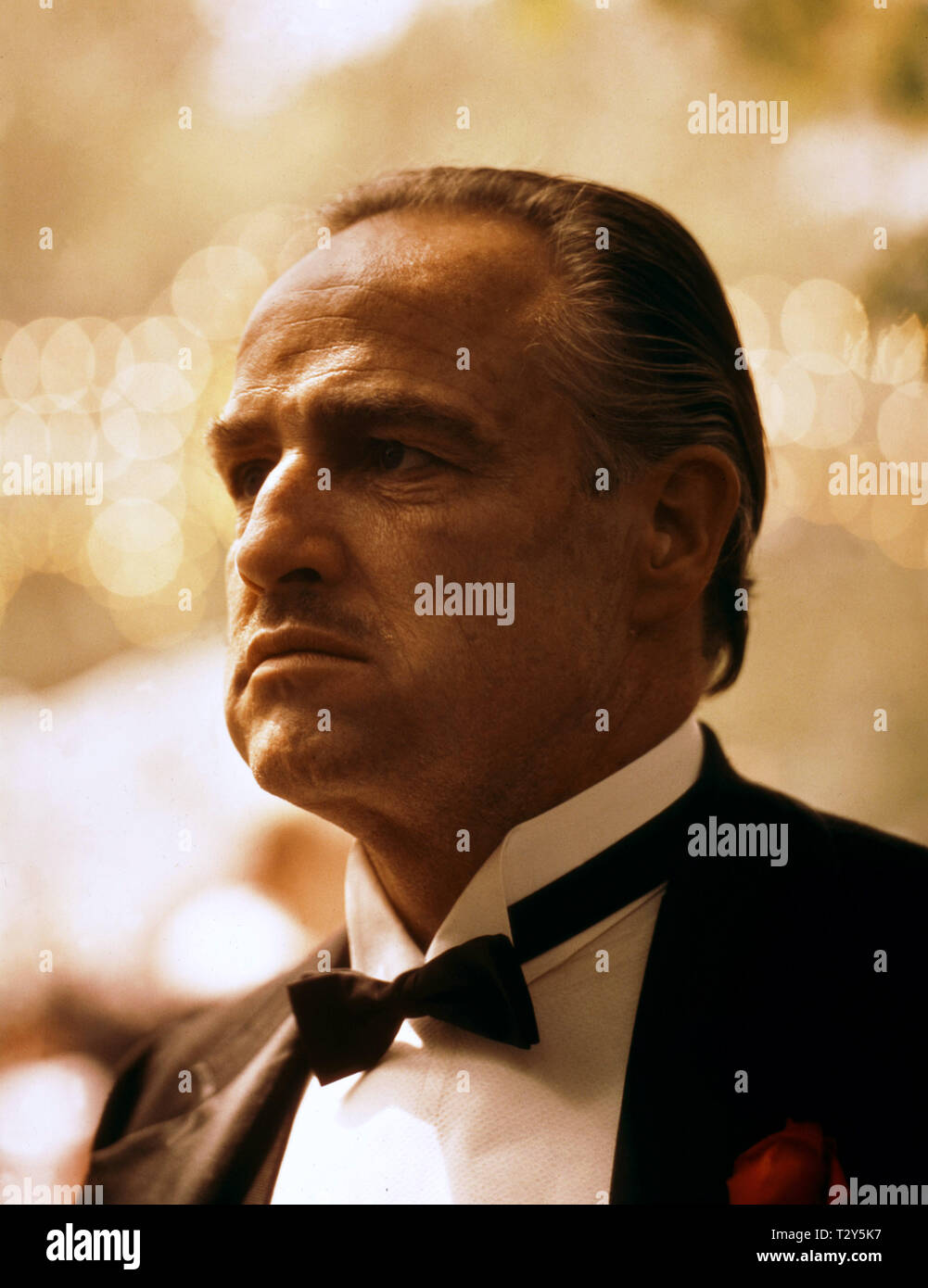MARLON BRANDO, THE GODFATHER, 1972 Stock Photo - Alamy