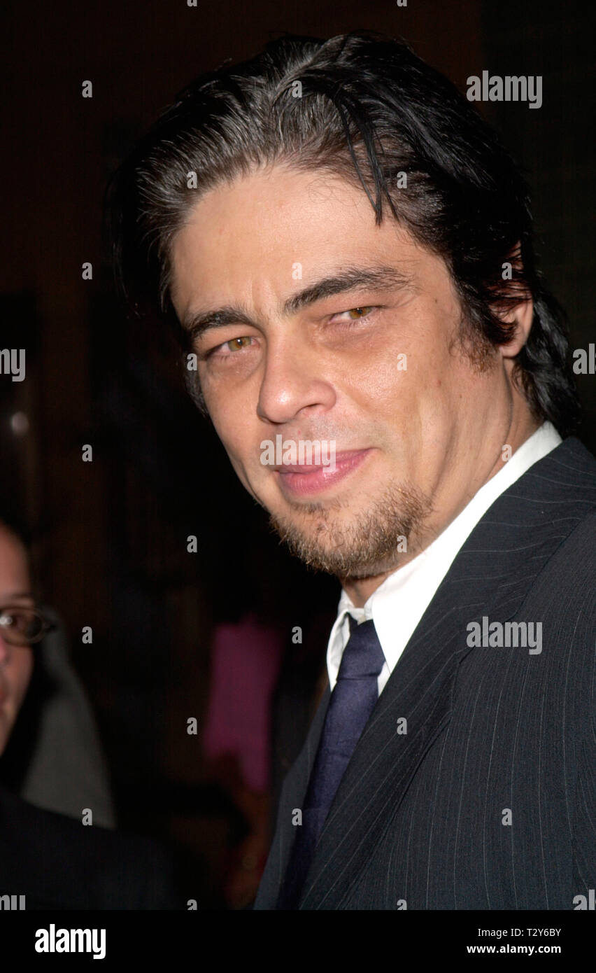 LOS ANGELES, CA. August 29, 2000: Actor BENICIO DEL TORO at the Los ...