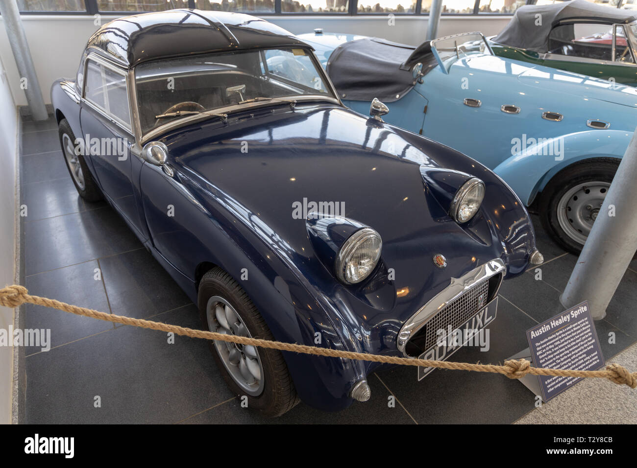 Austin Healey car at Healeys Cornish Cyder Farm Stock Photo - Alamy