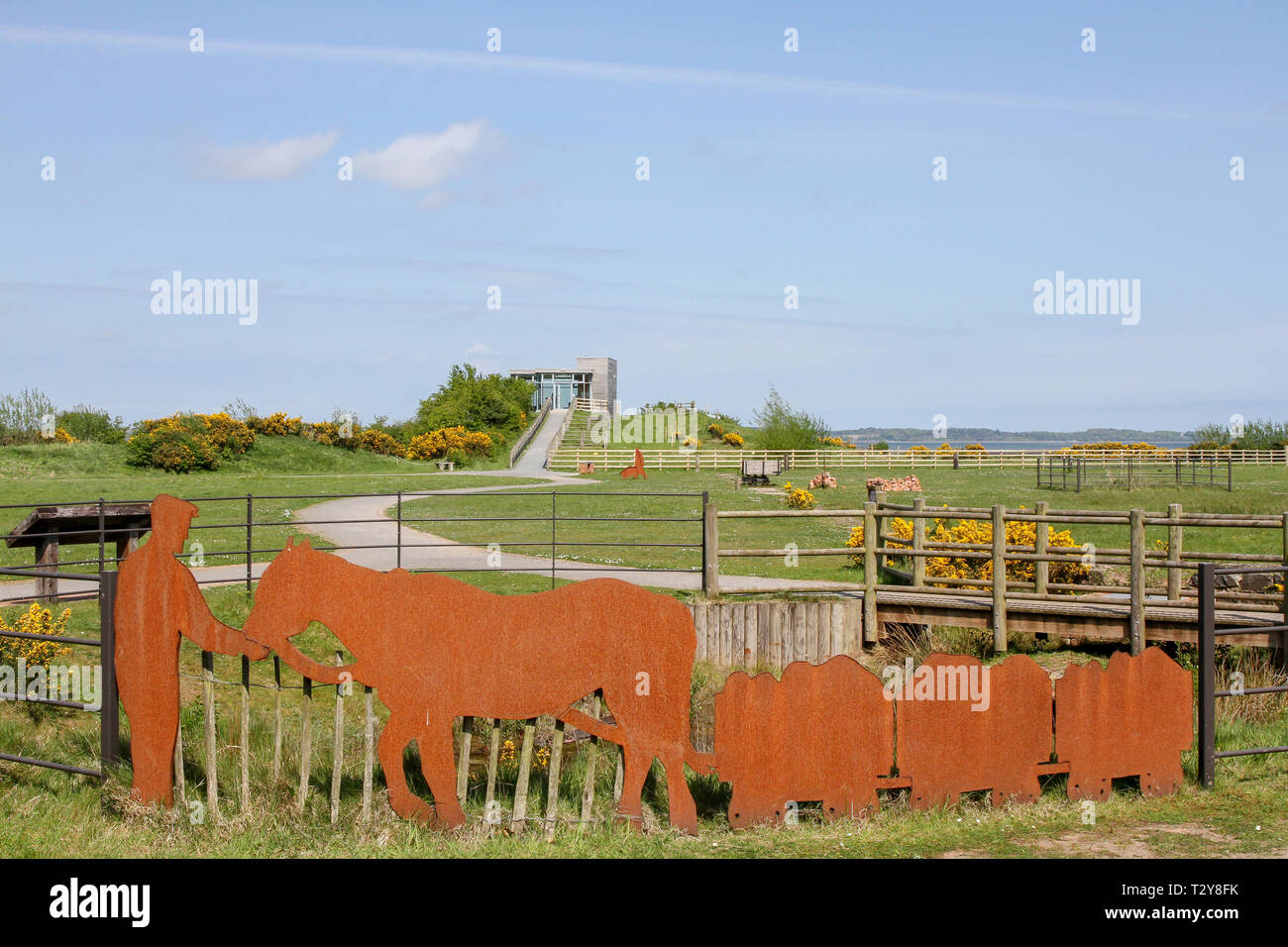WWT Castle Espie reserve, Comber, County Down, Northern Ireland Stock ...