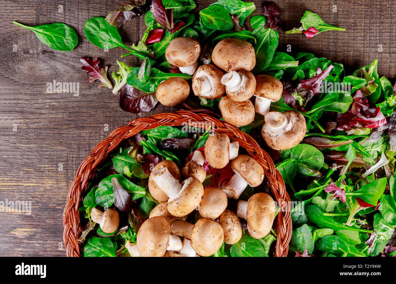 Rusty mushrooms hi-res stock photography and images - Alamy