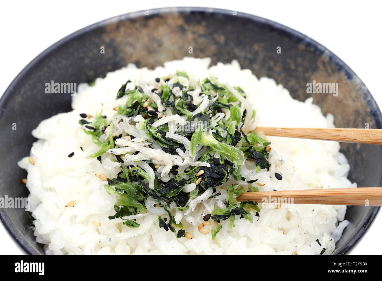 Japanese Shirasu and takana vegetable on cooked white rice on white ...