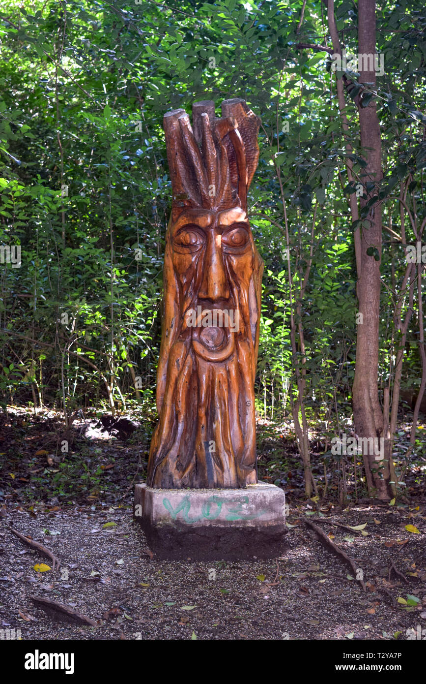 Sculpture carved in a tree of a man screaming. Art. Nature. Scream ...