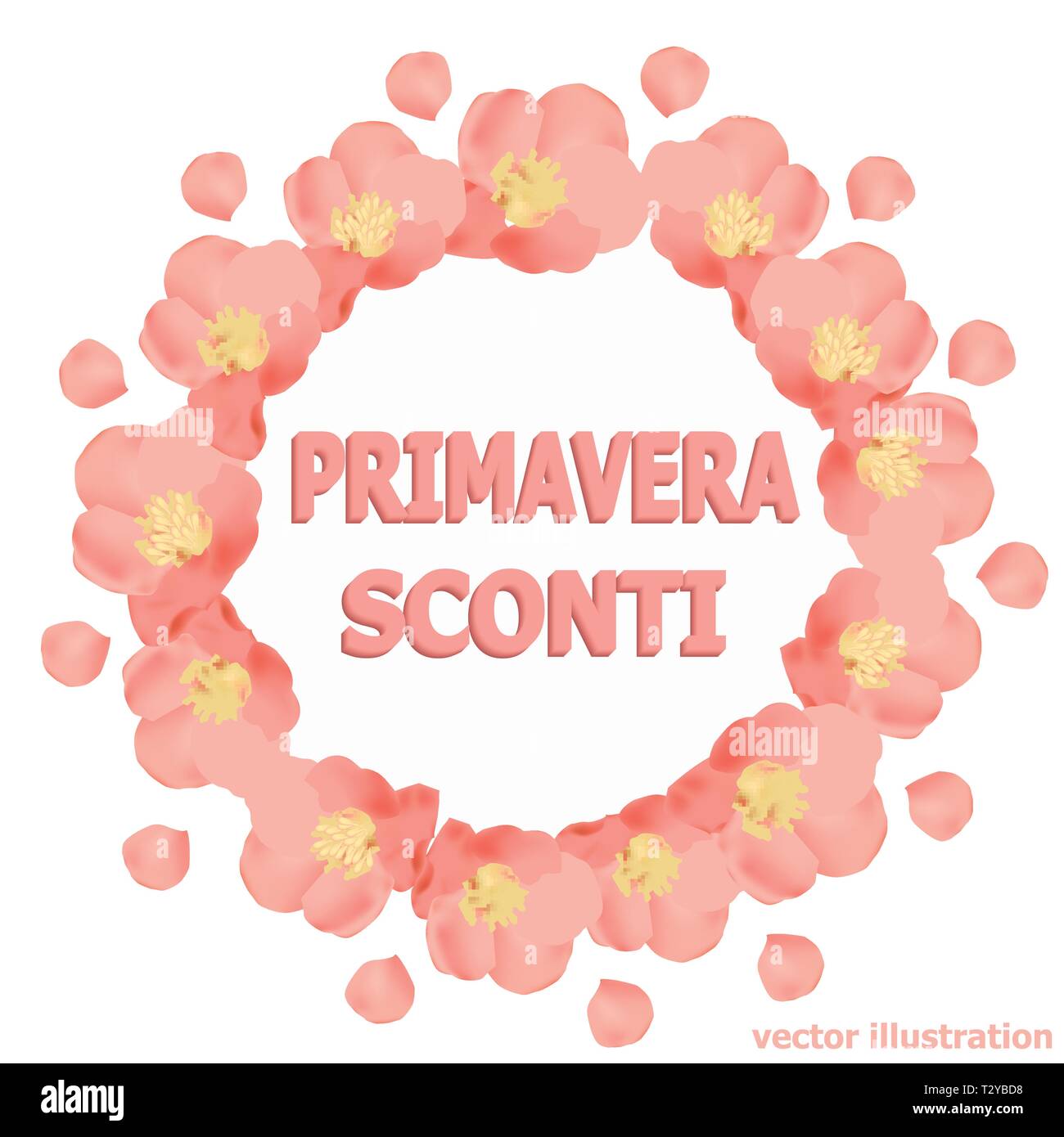 Bright spring background. Background with beautiful colorful flowers ...