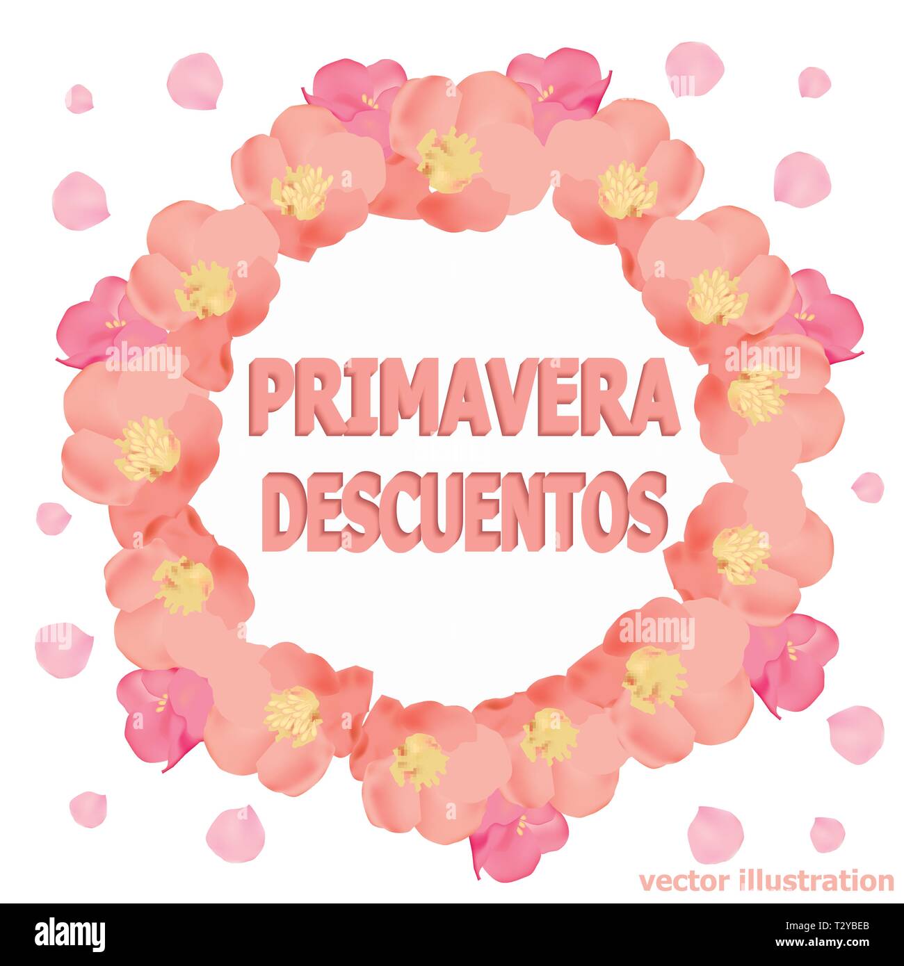 Bright spring background. Background with beautiful colorful flowers ...