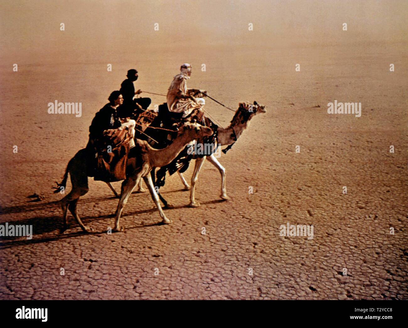 John dimech hi-res stock photography and images - Alamy