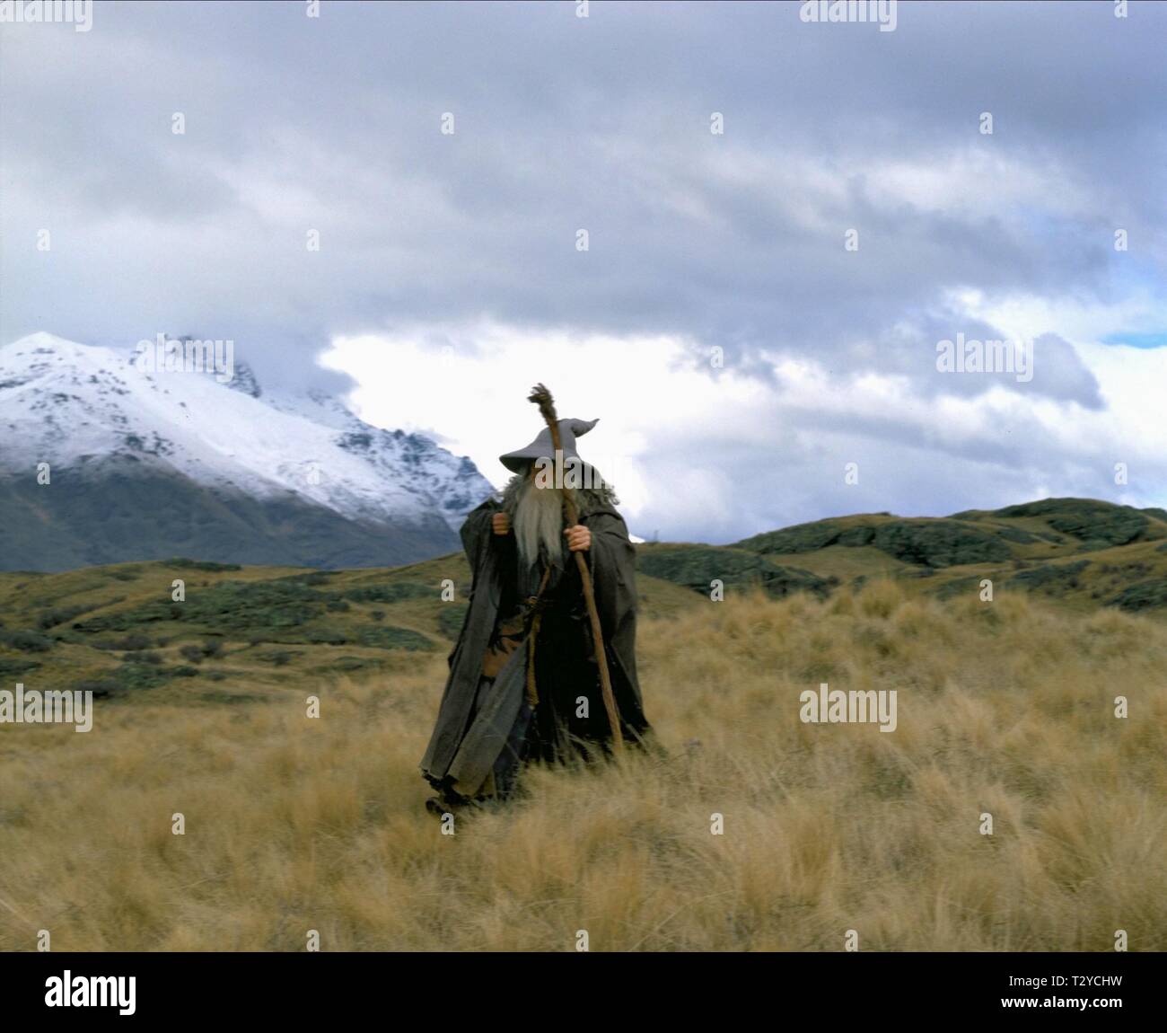 Gandalf Ian Mckellen Lord Of The Rings High Resolution Stock ...